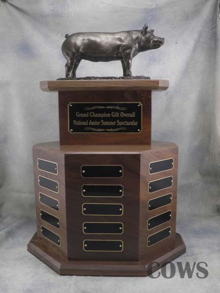 Trophy award,livestock awards,custom trophy,