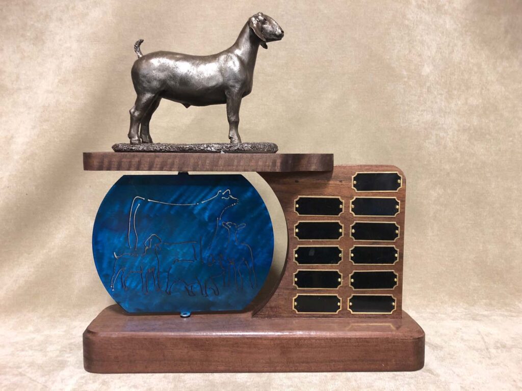 Livestock Trophy & Awards - Carols Original WorkS